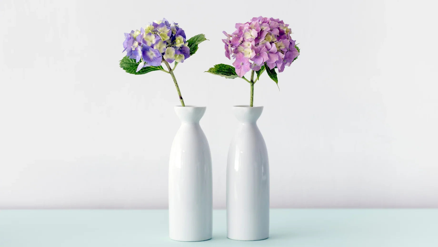 Feng Shui Flowers for Your Home: Which Colors and Placements Bring Goo ...
