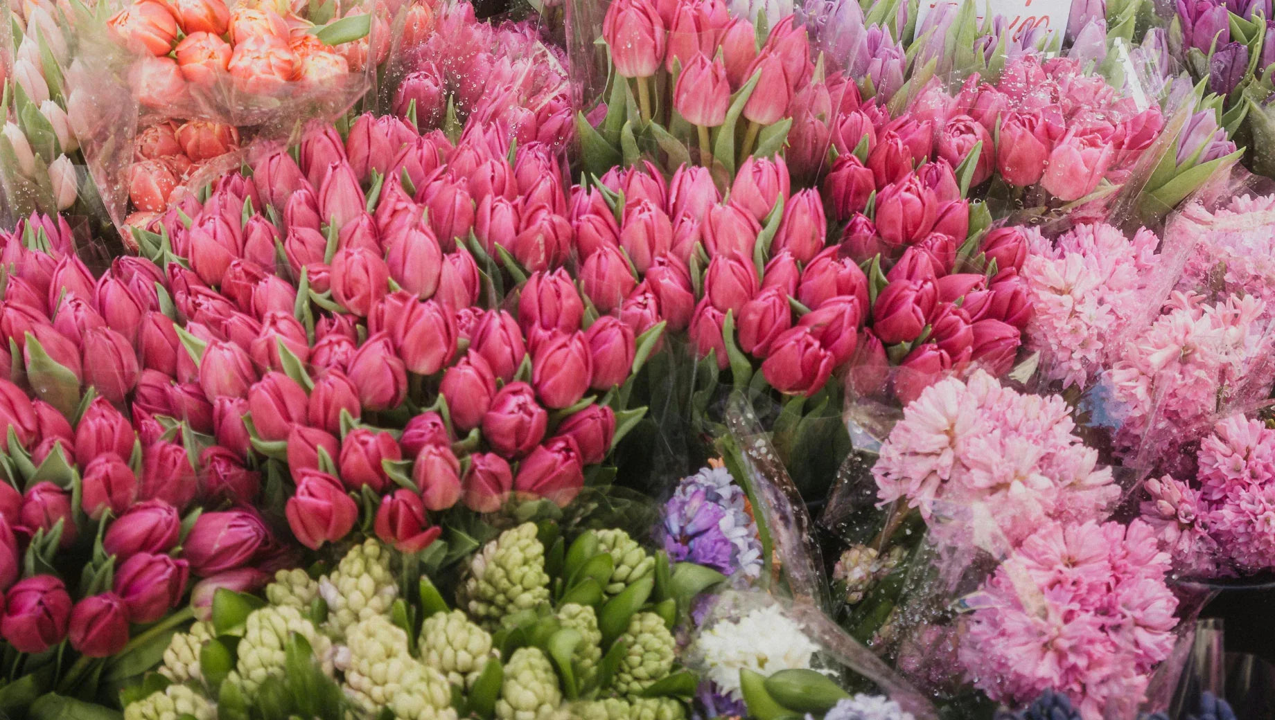 How to Choose the Perfect Flowers for Your Partner’s Personality ...